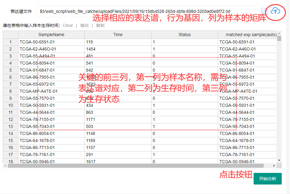 SCI发表之可以快速的进行lasso-cox分析的工具 - 知乎