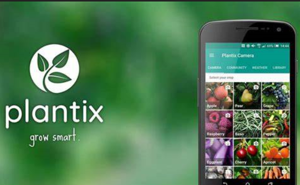 Plantix 作物病虫害识别 - 知乎
