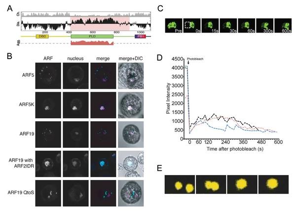 相变无奇，聚合分离——相分离 - 知乎