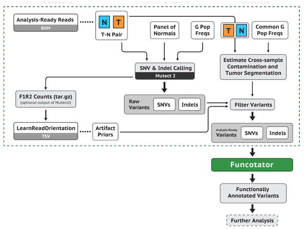 Somatic mutation By GATK（learning） - 知乎