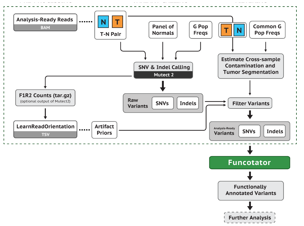 Somatic mutation By GATK（learning） - 知乎