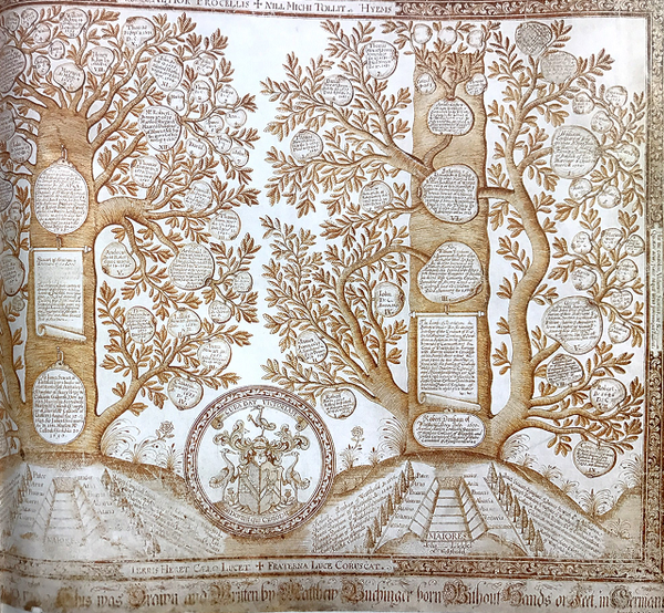 他天生没有手脚，但他是名留青史的魔术师：Matthew Buchinger - 知乎