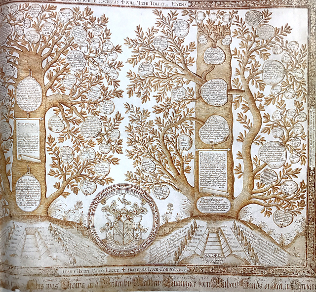 他天生没有手脚，但他是名留青史的魔术师：Matthew Buchinger - 知乎