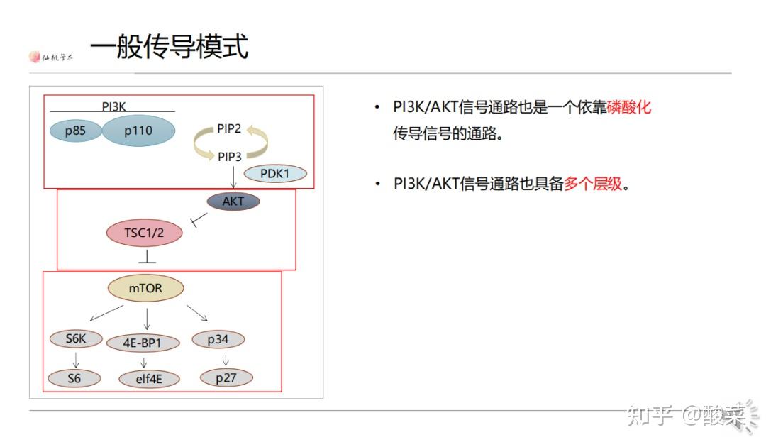 记住了但没完全记住？MAPK、PI3K、NF-κB…搞定12大信号通路的利器又多一个！ - 知乎