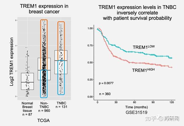 TREM1、TREM2丨髓系细胞表面受体的异军突起 - 知乎