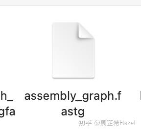 生信log21|基因组成圈了吗？-拼接路径可视化软件Bandage结果详解 - 知乎