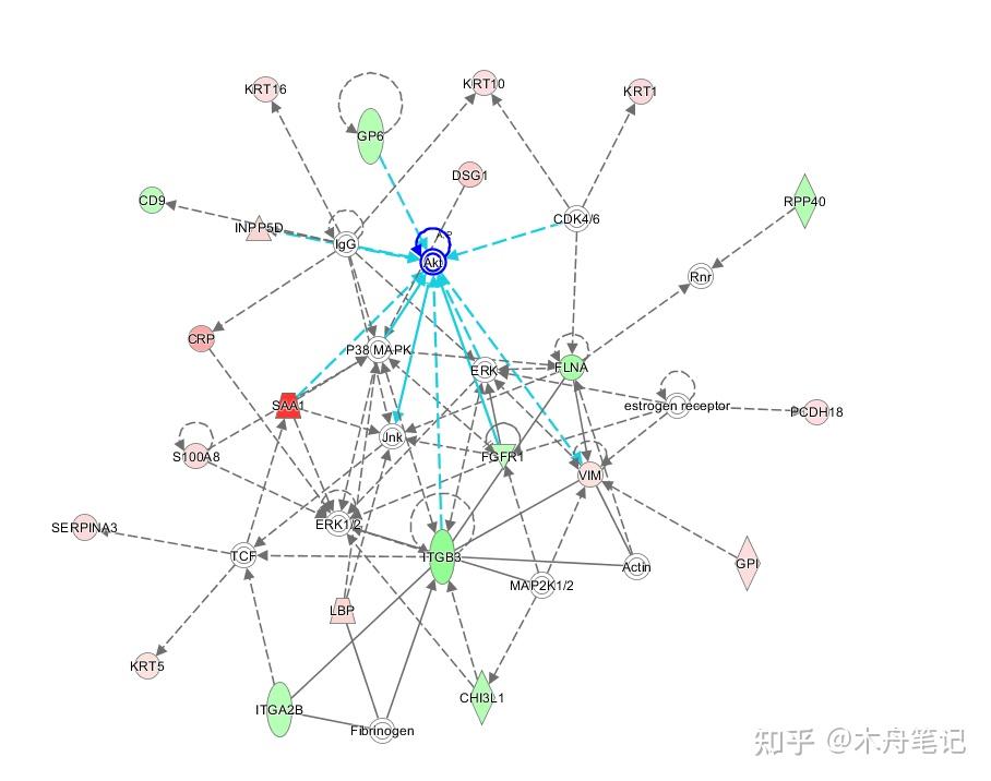 跟着Cell学作图| 11.Ingenuity Pathway Analysis(IPA) - 知乎