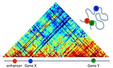 「Workshop」第二十五期：HiC 数据处理简介 - 知乎
