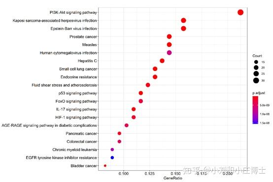 一套网络药理学分析下来能拿到多少数据 - 知乎