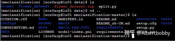 OpenMMLab打卡笔记（3）--MMClassification代码教学 - 知乎