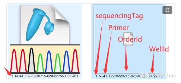 批量修改Sanger测序结果文件名 - 知乎