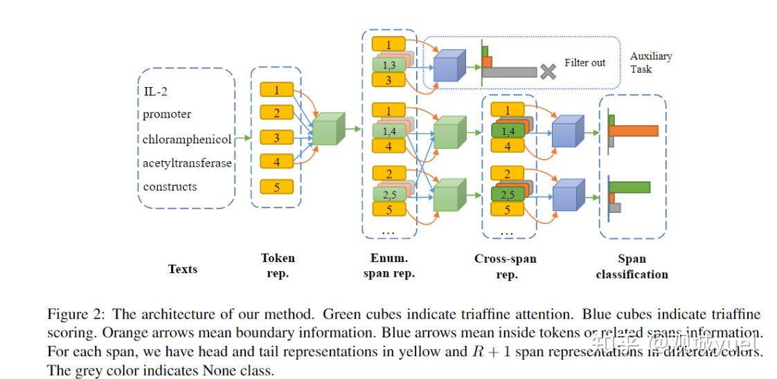 span异质信息融合-嵌套实体-Fusing Heterogeneous Factors with Triaffine Mechanism for Nested NER - 知乎