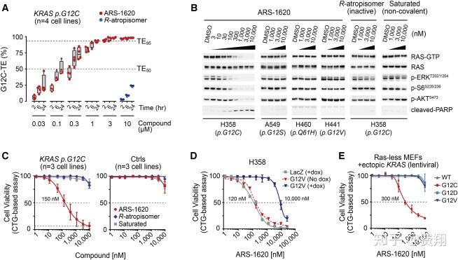 用共价特异性抑制剂ARS-1620靶向KRAS突变癌症 - 知乎