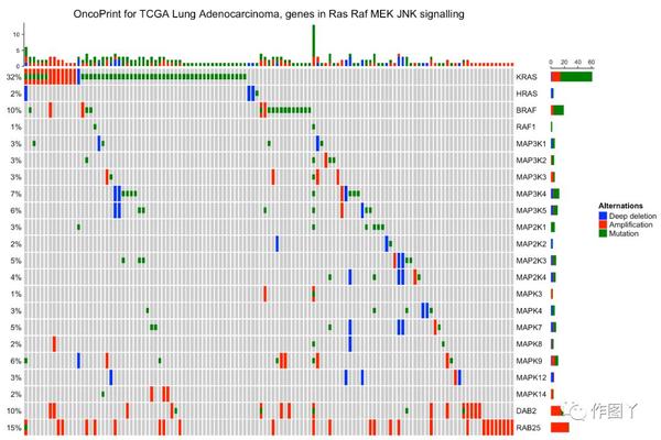 ComplexHeatmap 绘制全基因组突变景观图 - 知乎