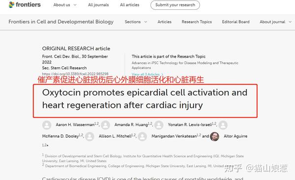 研究发现催产素(OXT)可以在心脏损伤后，促进心外膜细胞活化和心脏再生 - 知乎
