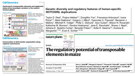 30+物种，100+Cell，菲沙基因Fiber-seq项目经验重磅发布 - 知乎