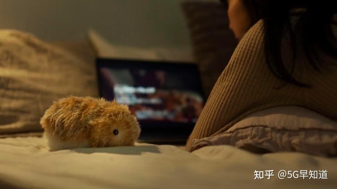 AI宠物：未来伴侣的崛起 - 知乎