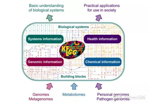 推荐几个常用的生物通路数据库 - 知乎