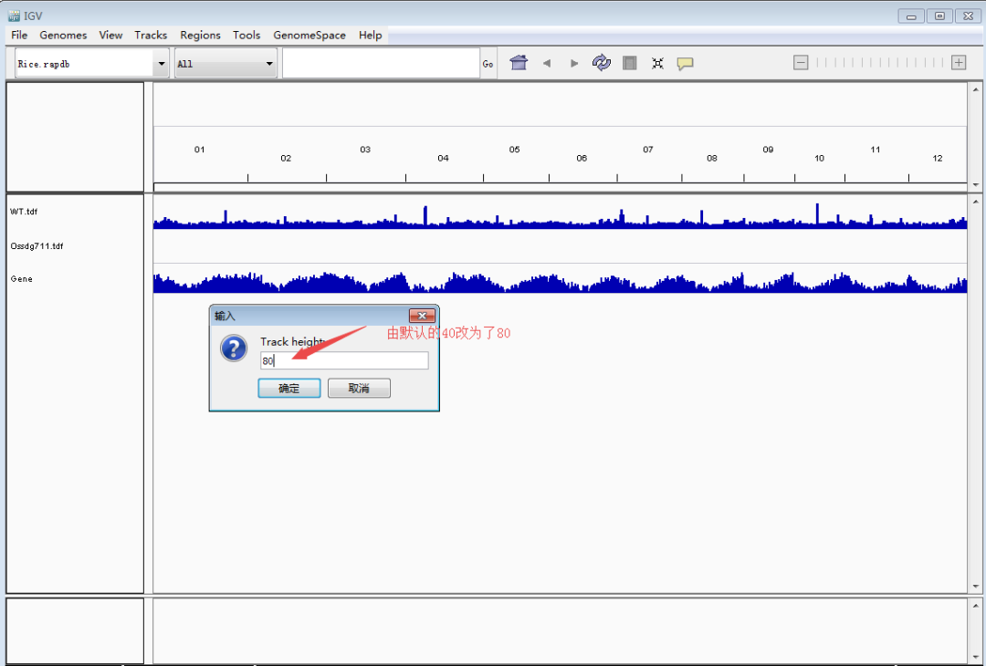 ChIP-seq/DAP-seq/ATAC-seq/CUT&Tag结果可视化-IGV使用攻略 - 知乎