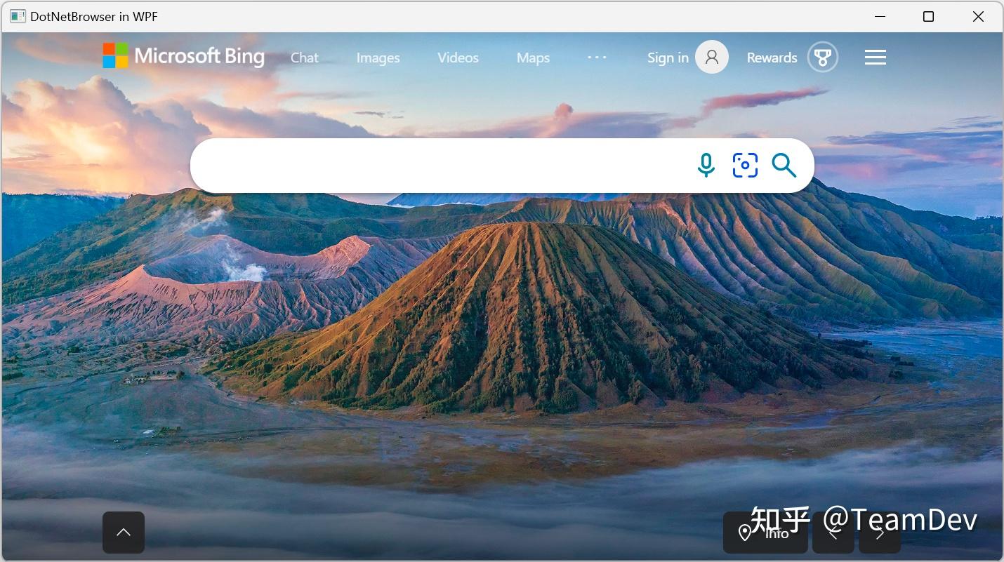 什么是 DotNetBrowser? - 知乎