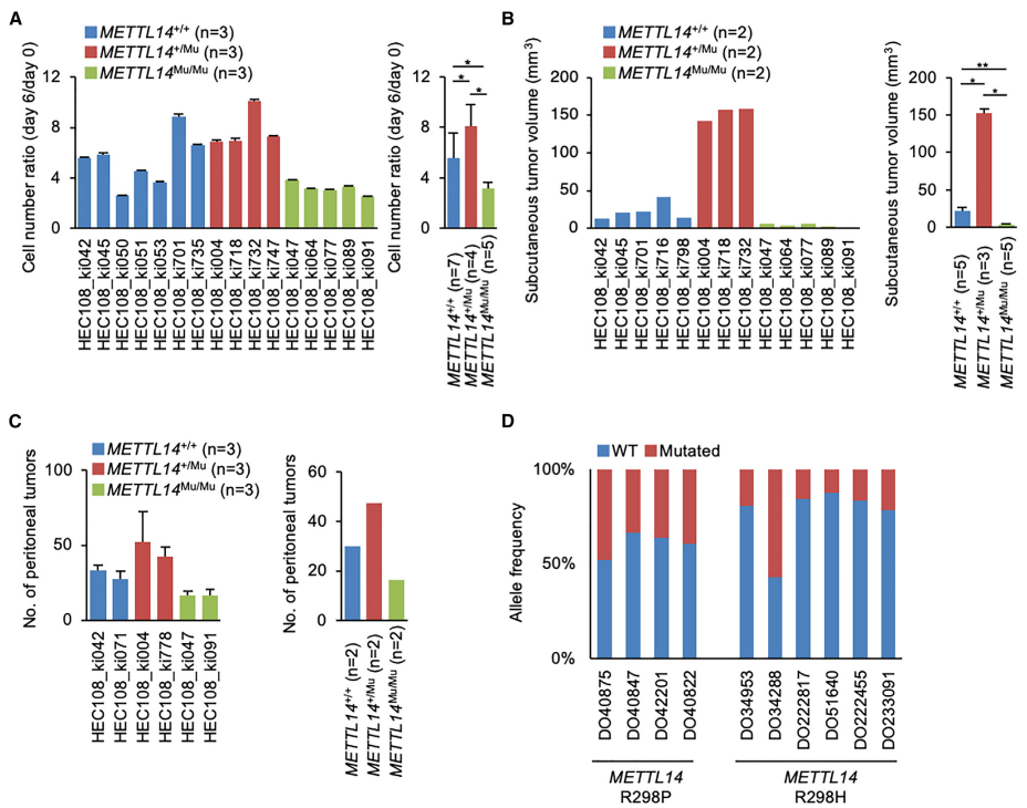 Cell Reports | 揭开METTL14在介导m6A修饰中的神秘面纱 - 知乎