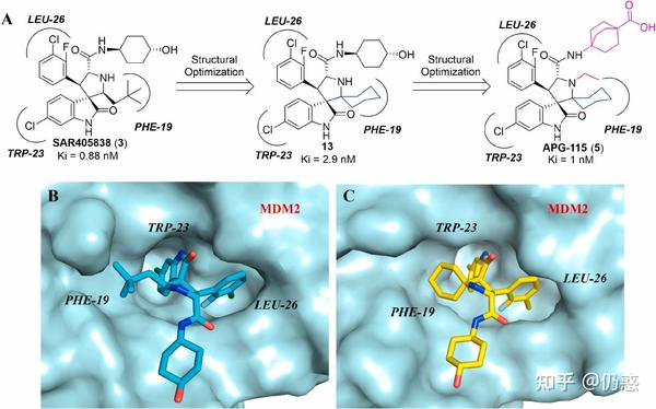 MDM2小分子抑制剂的临床研究进展 - 知乎