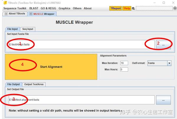 软件教程 | 利用TBtools完成无门槛构建系统发育树的全套流程 - 知乎
