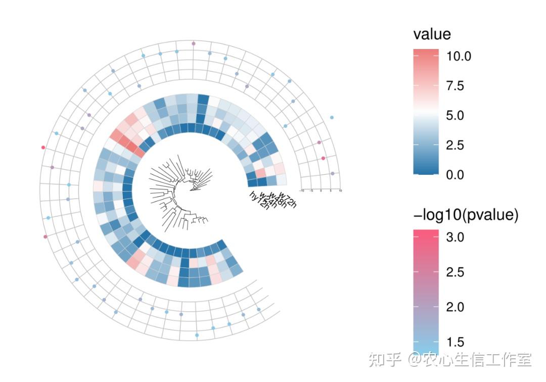 画最美的进化树：ggtreeExtra包进阶使用实例 - 知乎