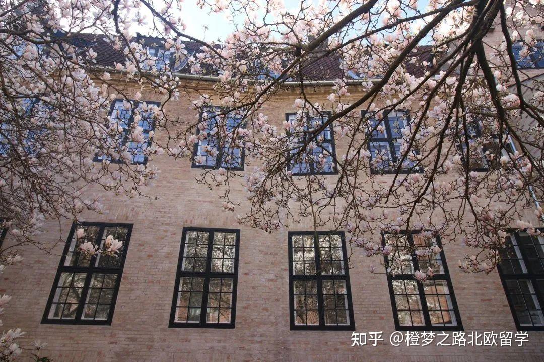 橙梦干货 | 错过了23fall？丹麦TOP 200名校春季入学了解一下~ - 知乎