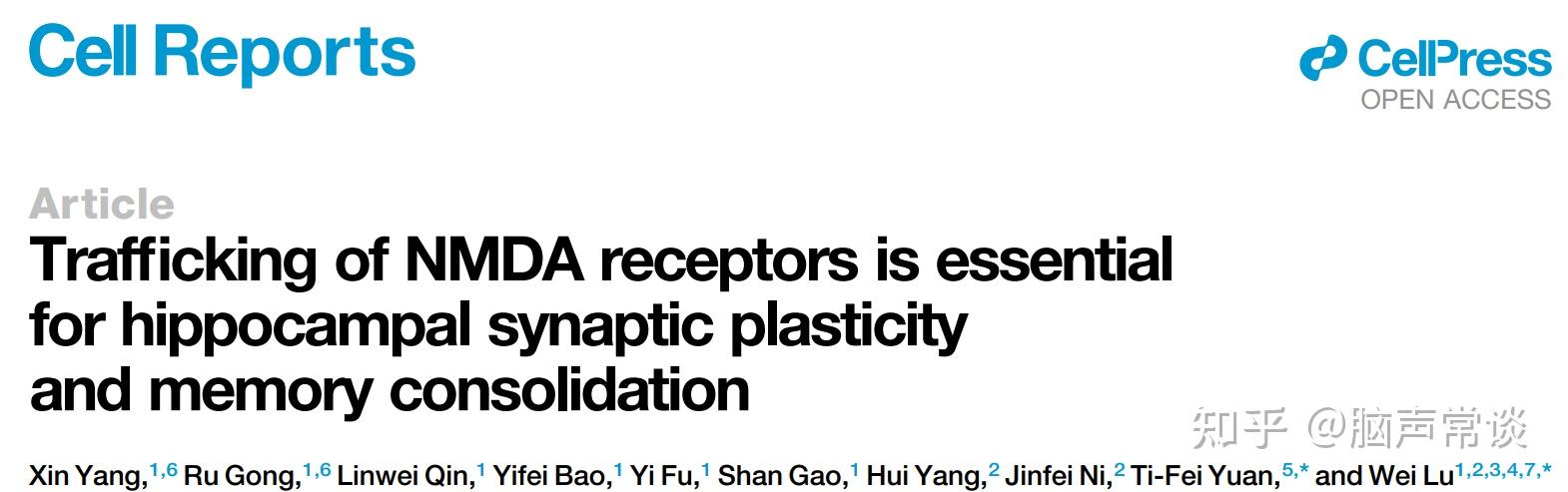 脑声常谈：神经元突触后NMDA受体膜转运的作用机制以及对个体行为的调控作用 - 知乎