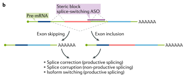 Nature Drug Delivery | Advances in oligonucleotide drug delivery - 知乎