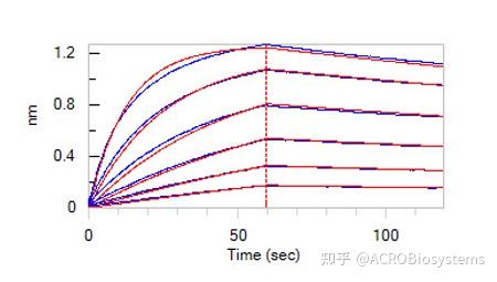 不破不立|Fc改造工程助力差异化抗体药物研发 - 知乎