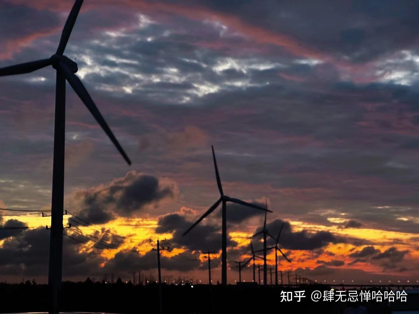 认识一下sacB gene - 知乎