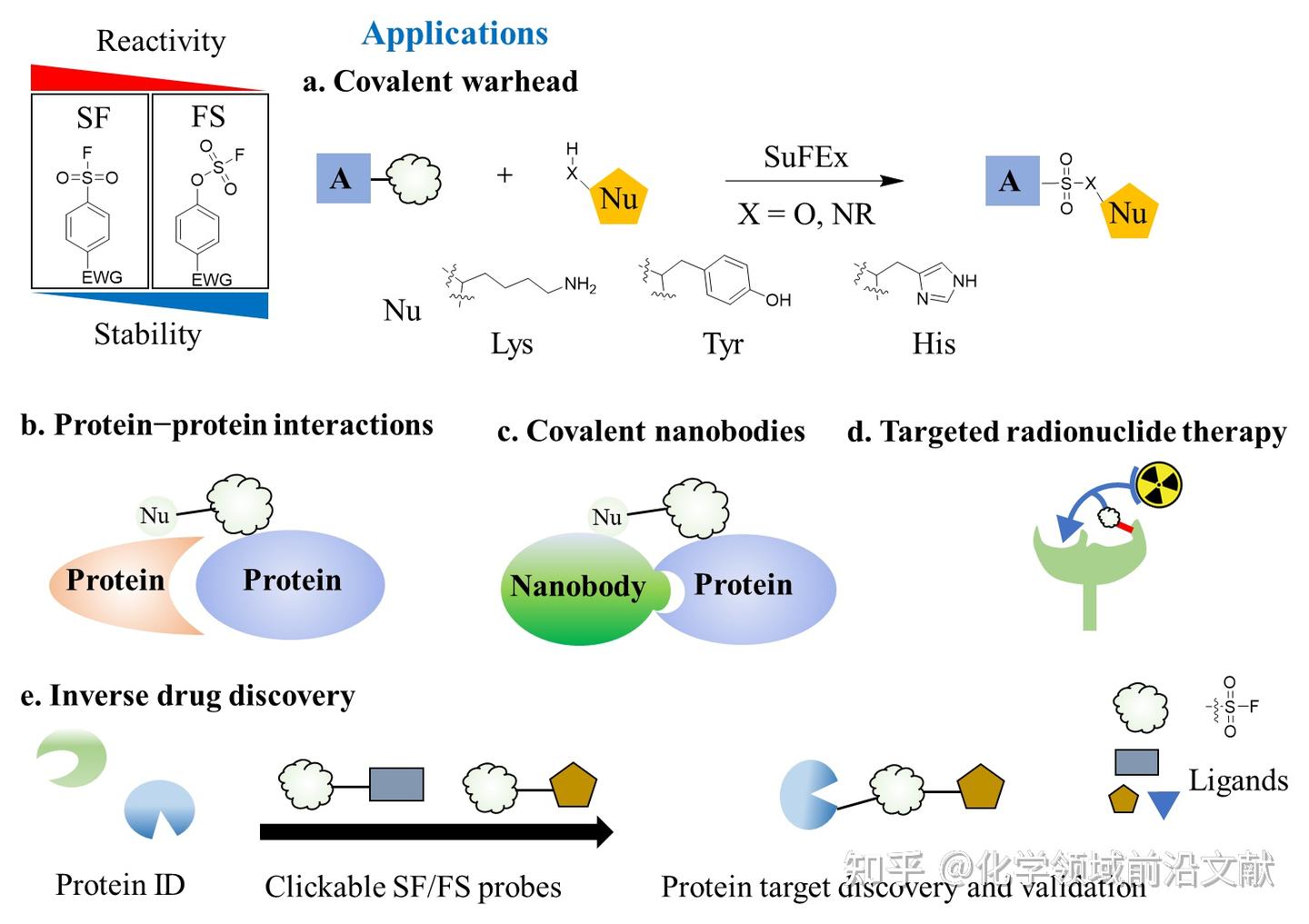 山东大学展鹏J. Med. Chem.：磺酰氟化合物的新应用 - 知乎