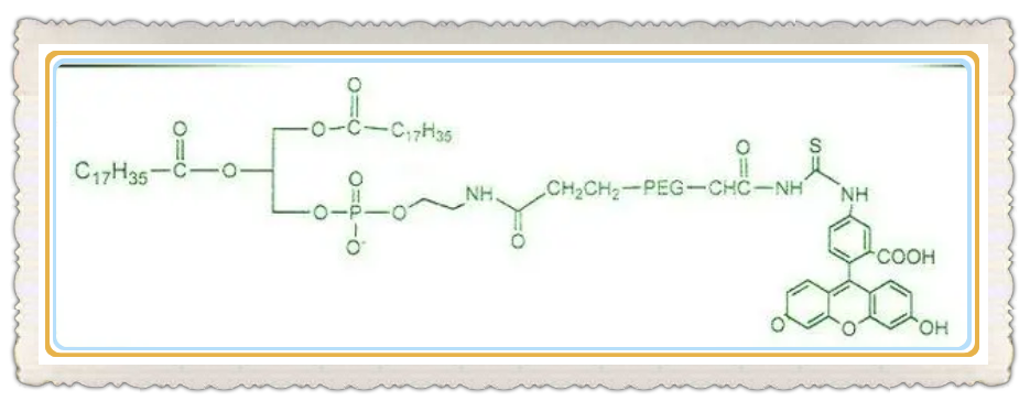 DSPE-PEG-FITC，DSPE-PEG-Fluorescein的性状呈固体或液体 - 知乎