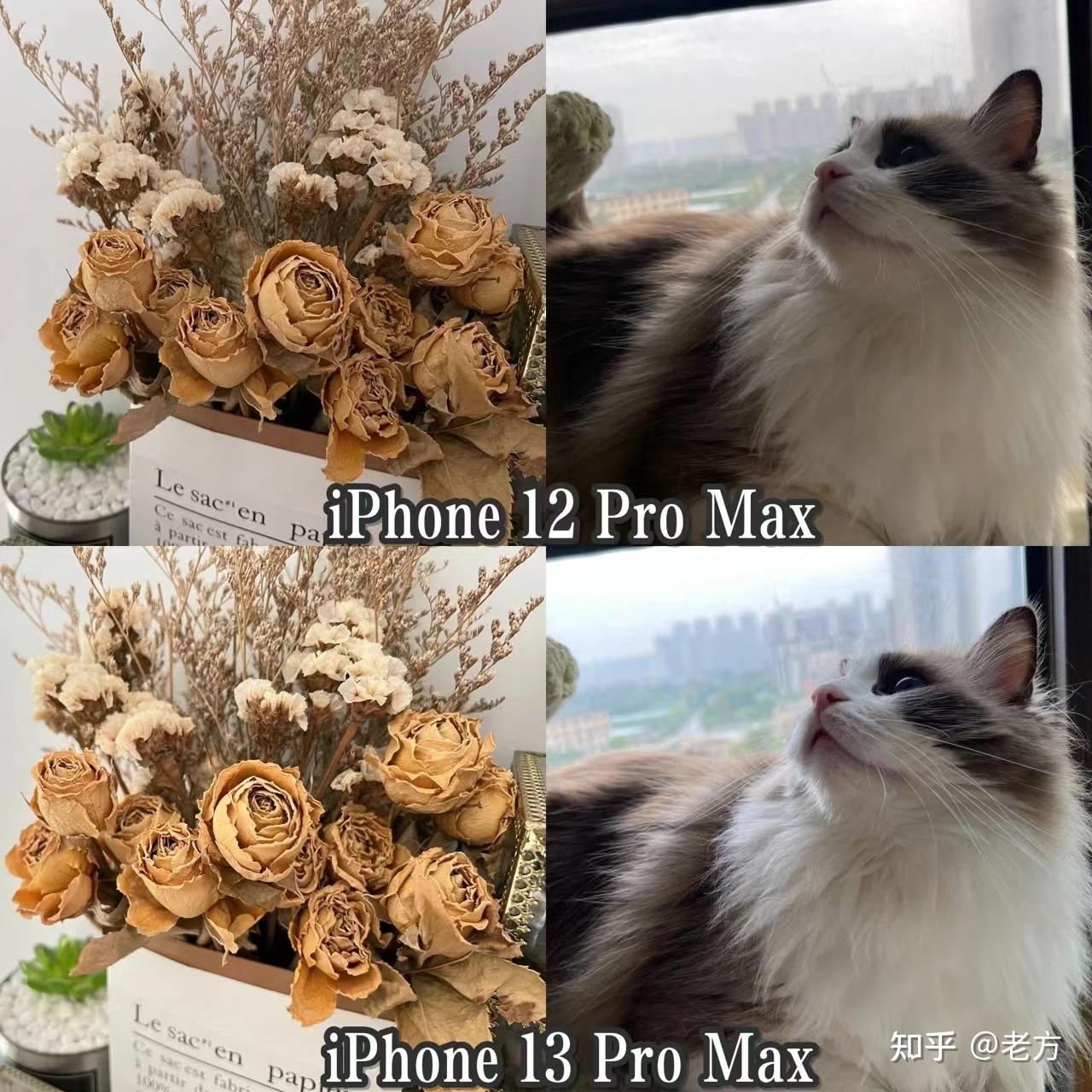 2024年，iPhone12pm和13pm怎么选? - 知乎