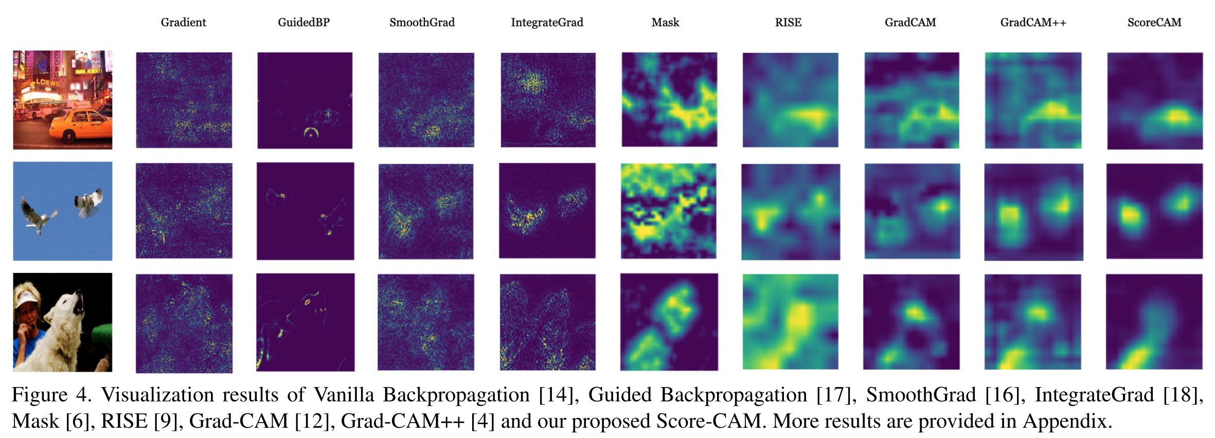 Score-CAM: Score-Weighted Visual Explanations for Convolutional Neural Networks - 知乎