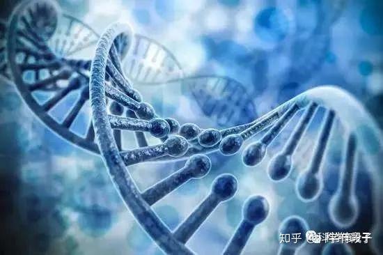 RNA 病毒与 DNA 病毒那个更具有进化优势？为什么？ - 知乎