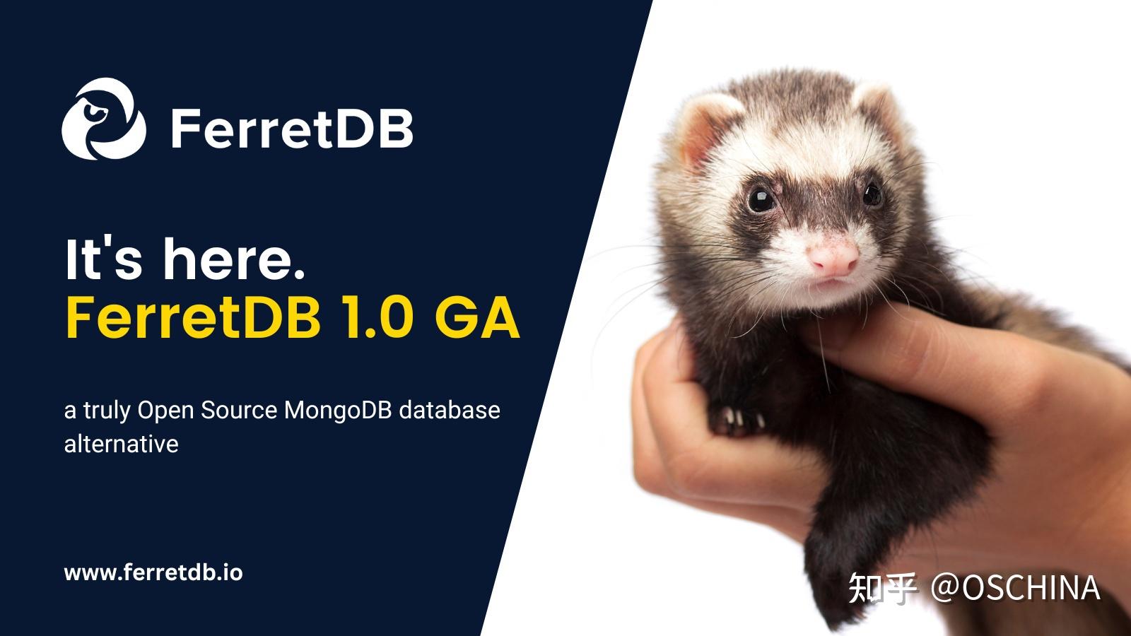 FerretDB 1.0 正式 GA,MongoDB 开源替代品 - 知乎 FerretDB 1.0 正式 GA,MongoDB 开源替代品 - 知乎