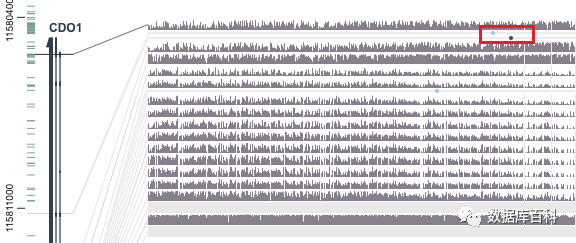 MEXPRESS: TCGA甲基化分析数据库 - 知乎