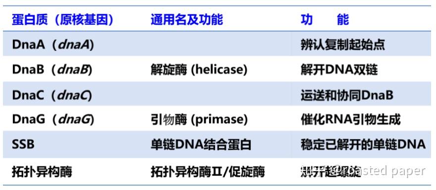 生化与分子生物学——分子生物学篇之DNA生物合成和损伤修复 - 知乎
