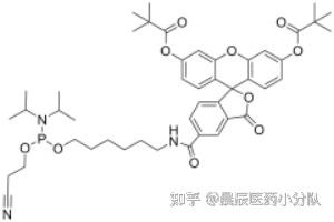 寡核苷酸标记——5-FAM Phosphoramidite - 知乎