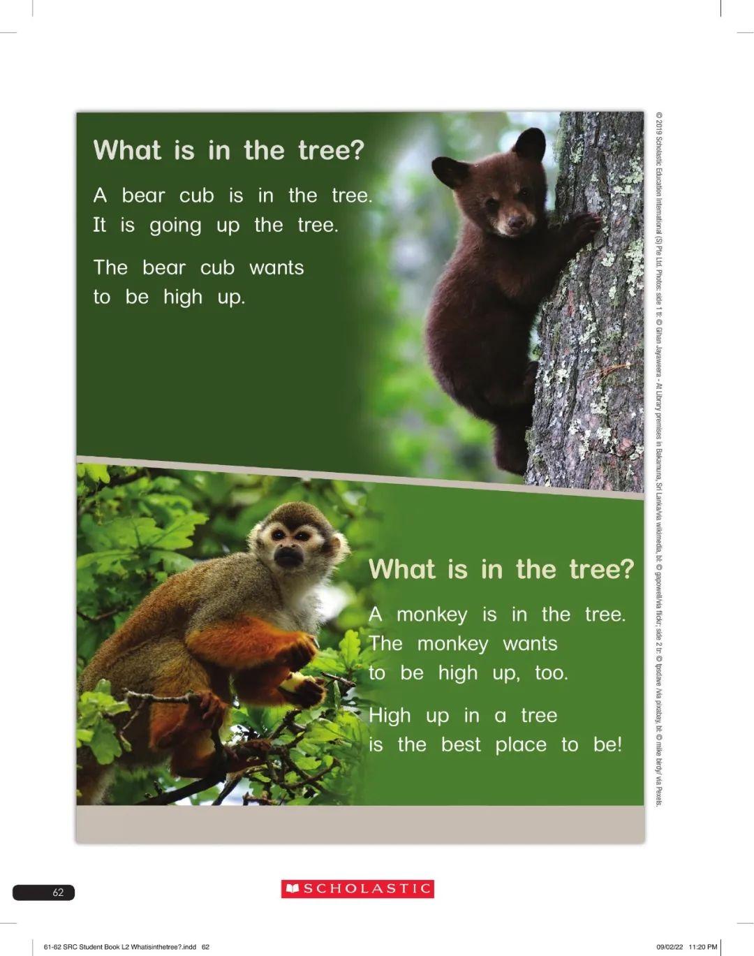 Scholastic Guided Reading Short Reads Plus 学乐深度阅读 分级阅读教学 Level 1-9 教材 ...