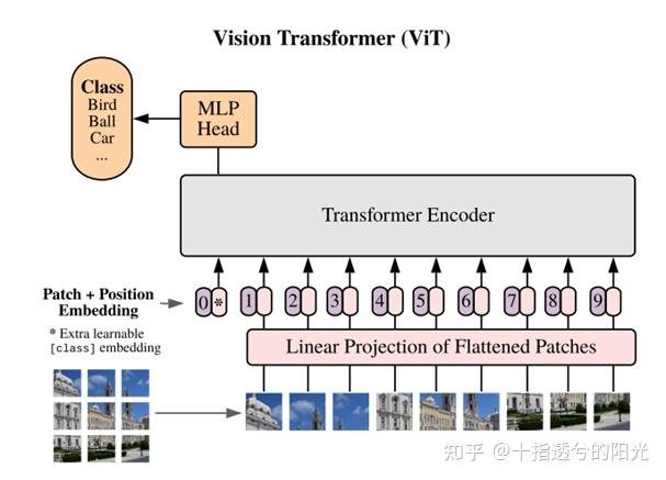 【t2t Vit】tokens To Token Vit Training Vision Transformers From Scratch On Imagenet 学习笔记 知乎