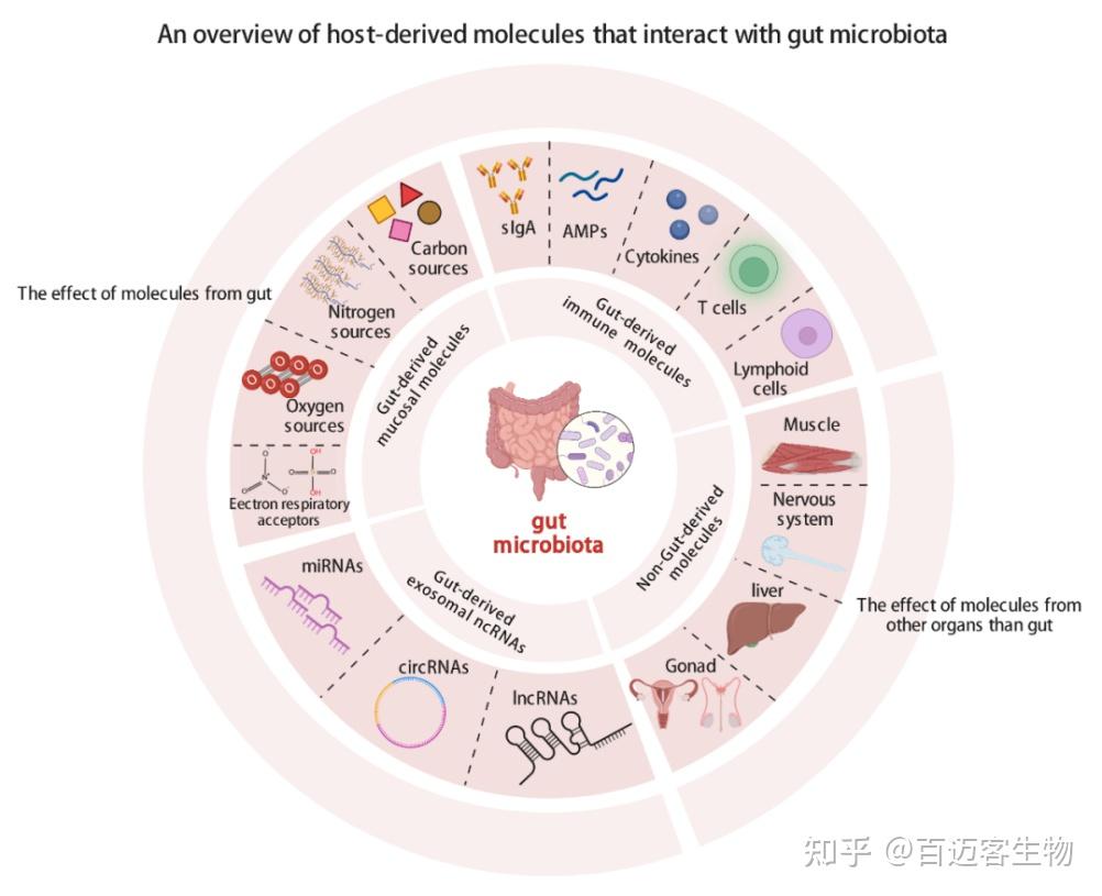 纯干货 一文读懂微生物全基因组关联研究 知乎 9686