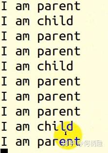 linux 进程 fork() - 知乎