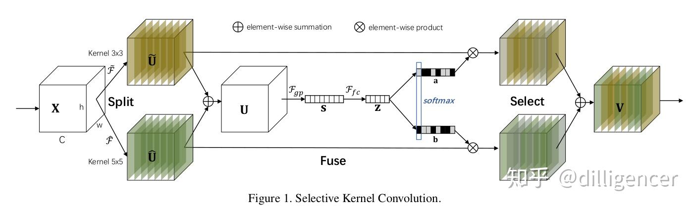 SKNet：Selective Kernel Networks - 知乎