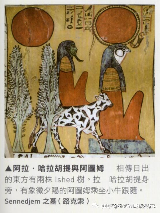 JinLinE第19王朝（8）：重析古埃及魔幻小说《两兄弟的故事》 - 知乎