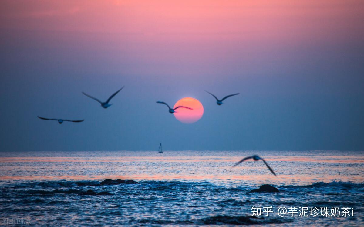 海南公司创办流程详细22年最新 知乎