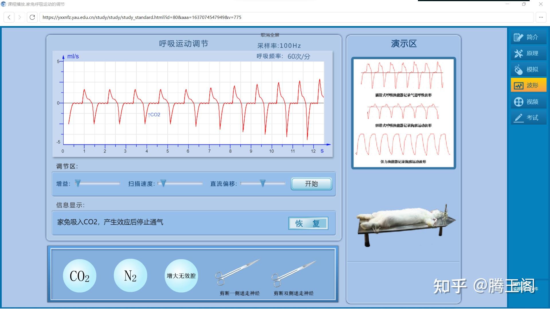 机能学实验——家兔呼吸运动的调节以及减压神经放电的影响 - 知乎